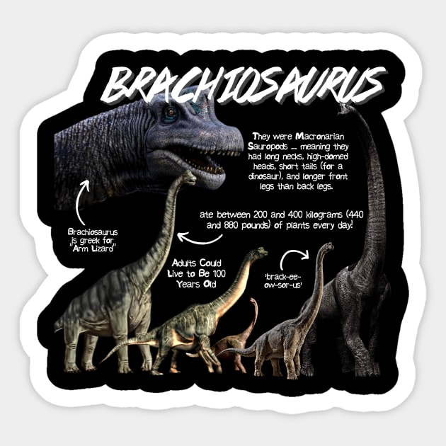 Brachiosaurus Fun Facts - Brachiosaurus - Sticker | TeePublic
