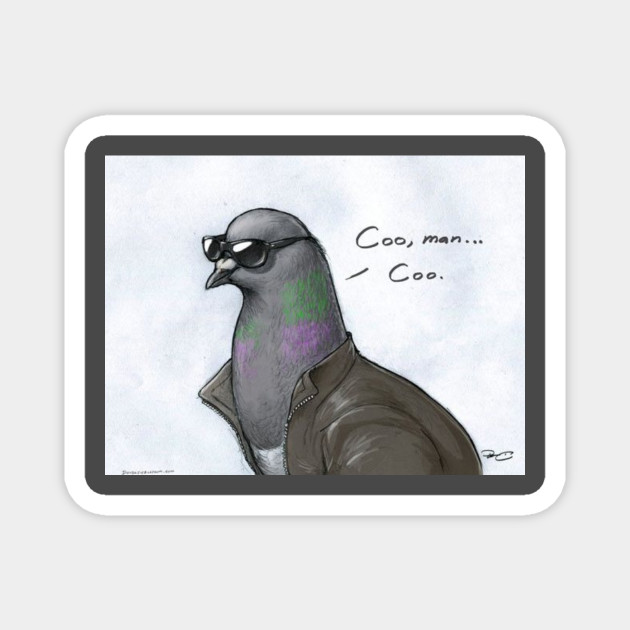Cool Pigeon - Pigeons - Magnet | TeePublic