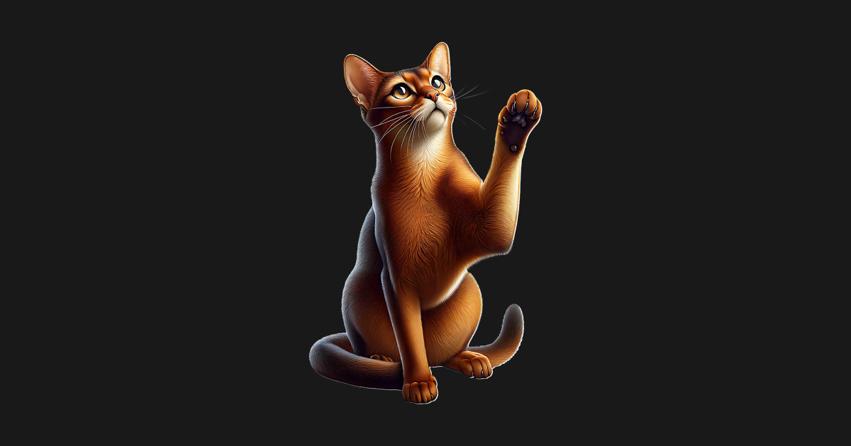 S2 Abyssinian Cat (17) - Abyssinian Cat - T-Shirt | TeePublic