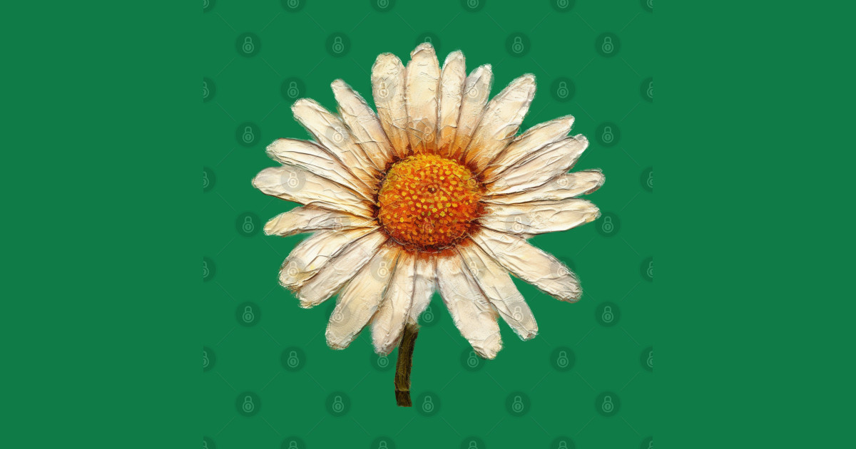 Folk Art Daisy Pattern - Daisy - T-Shirt | TeePublic