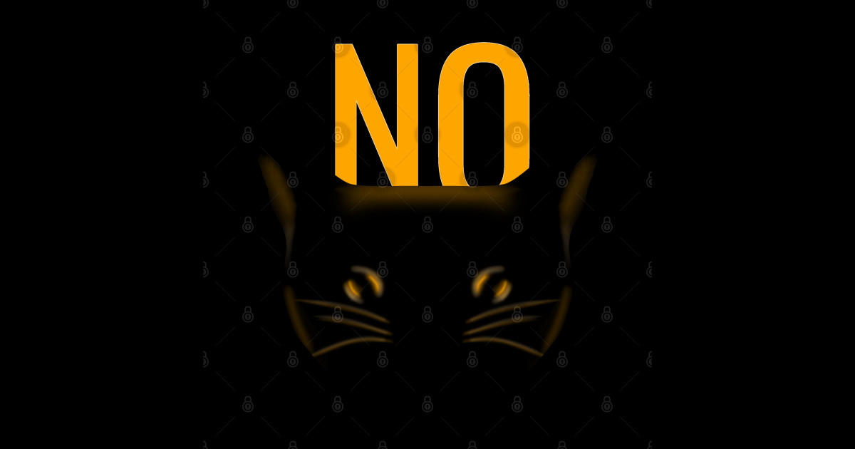 Cat says no - hilarious jokes - Funny animals - No cat - Cat Says No ...