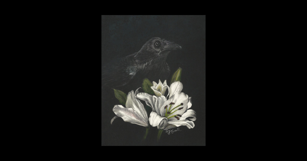 Lily White, Raven Black - Lily Raven Scratchboard - Posters and Art ...