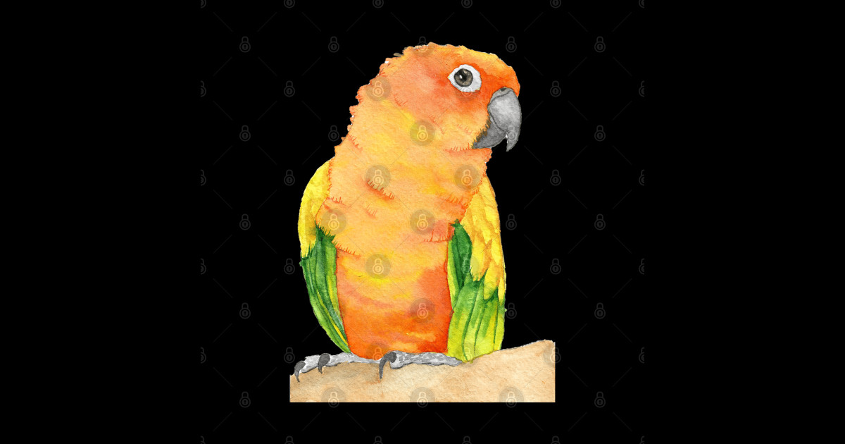 sun parakeet watercolor bird portrait painting - Sun - Posters and Art ...
