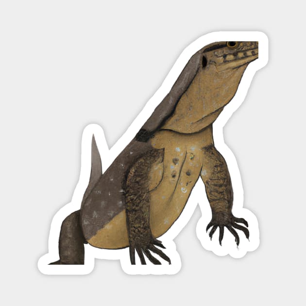 Cute Monitor Lizard Drawing - Monitor Lizard - Magnet | TeePublic