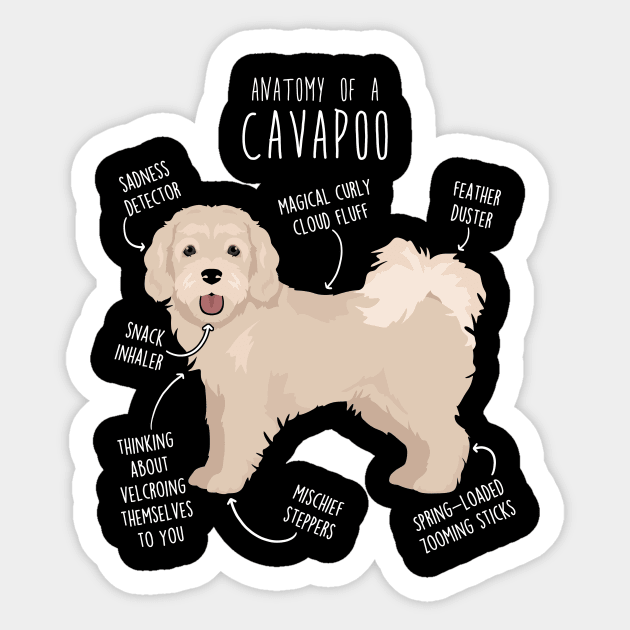 Cavapoo Dog Anatomy - Cavapoo - Sticker | TeePublic
