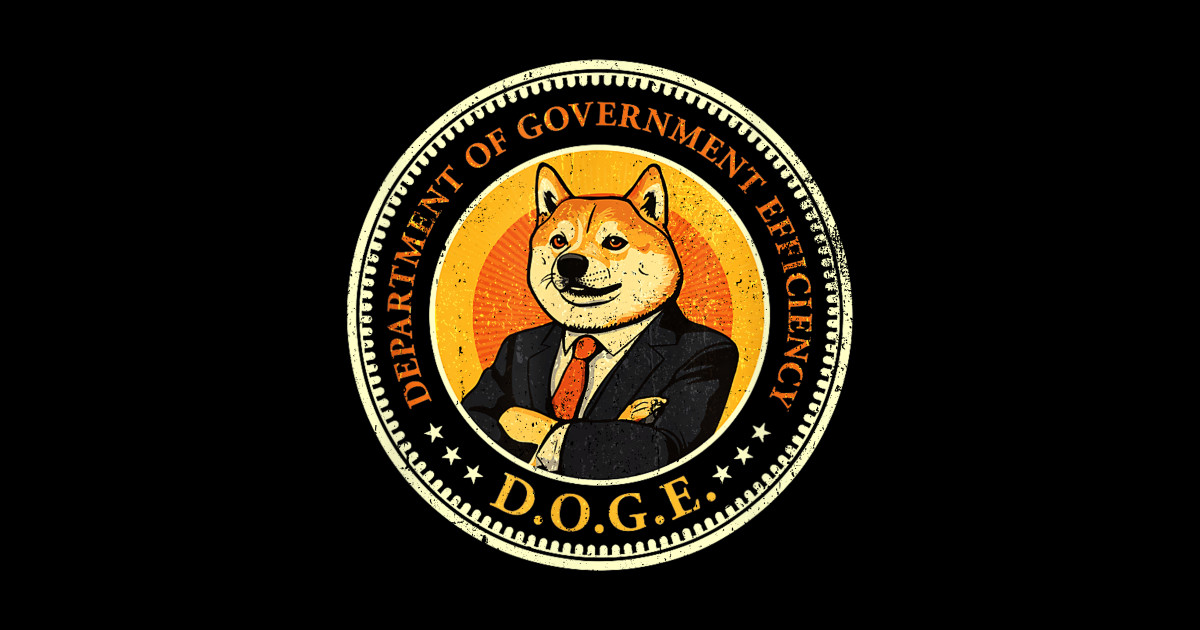 D.O.G.E. DOGE DEPARTMENT OF GOVERNMENT EFFICIENCY - Doge Department Of ...