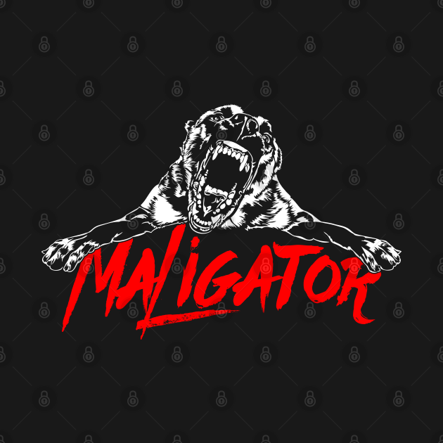 Funny Belgian Malinois Maligator dog portrait - Belgian Malinois ...