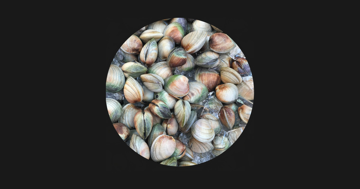 Clams! - Clams - T-Shirt | TeePublic