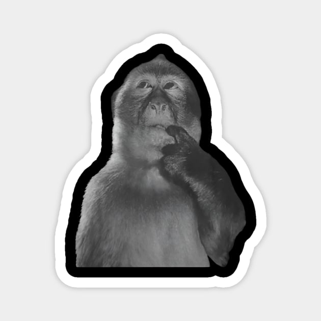 Funny Thinking Monkey – Hilarious Monkey Meme - Funny Monkey Thinking ...