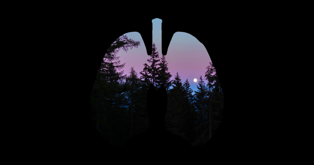 Night Jungle Lungs design - Night Sky - Sticker | TeePublic