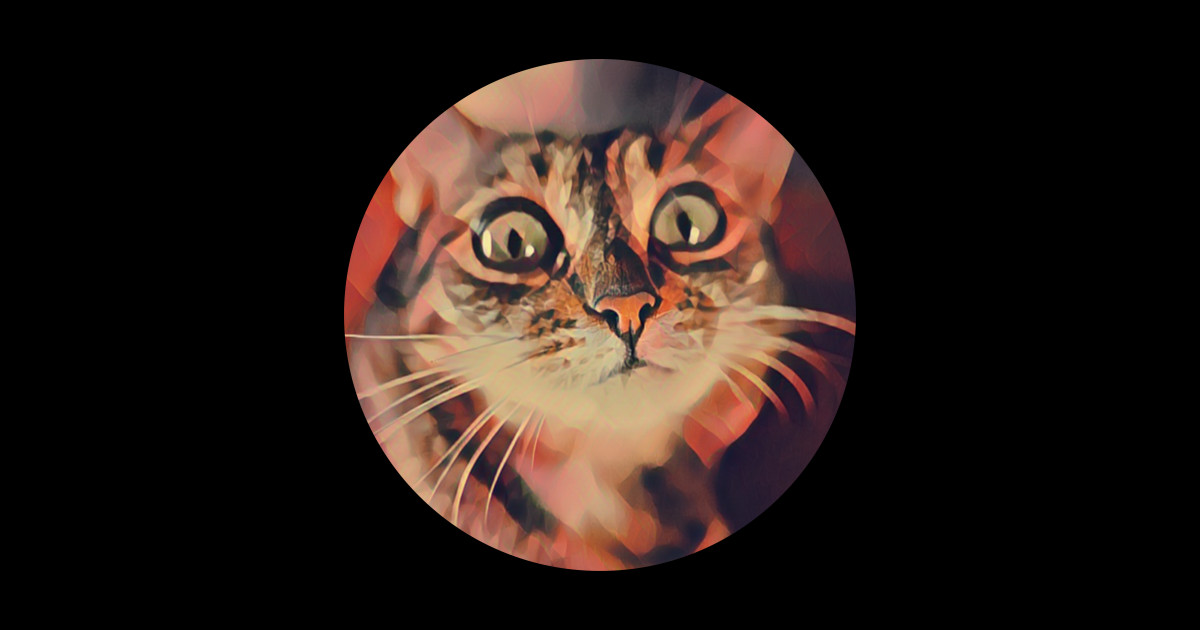 Amusing floppy cat - Amusing Floppy Cat - Posters and Art Prints ...