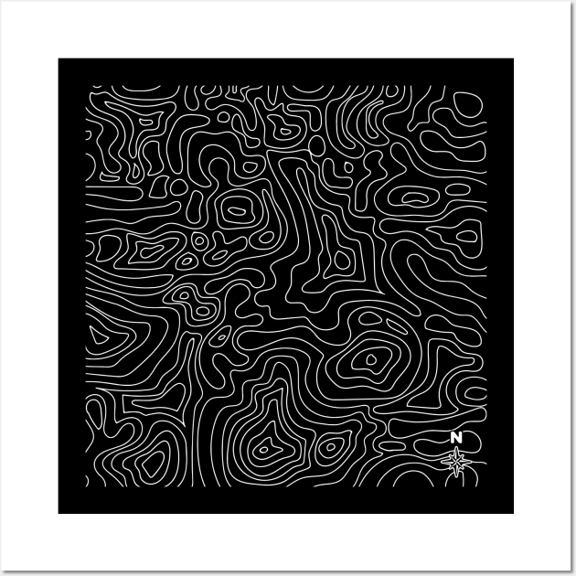 Topo Map - Topographic - Posters and Art Prints | TeePublic