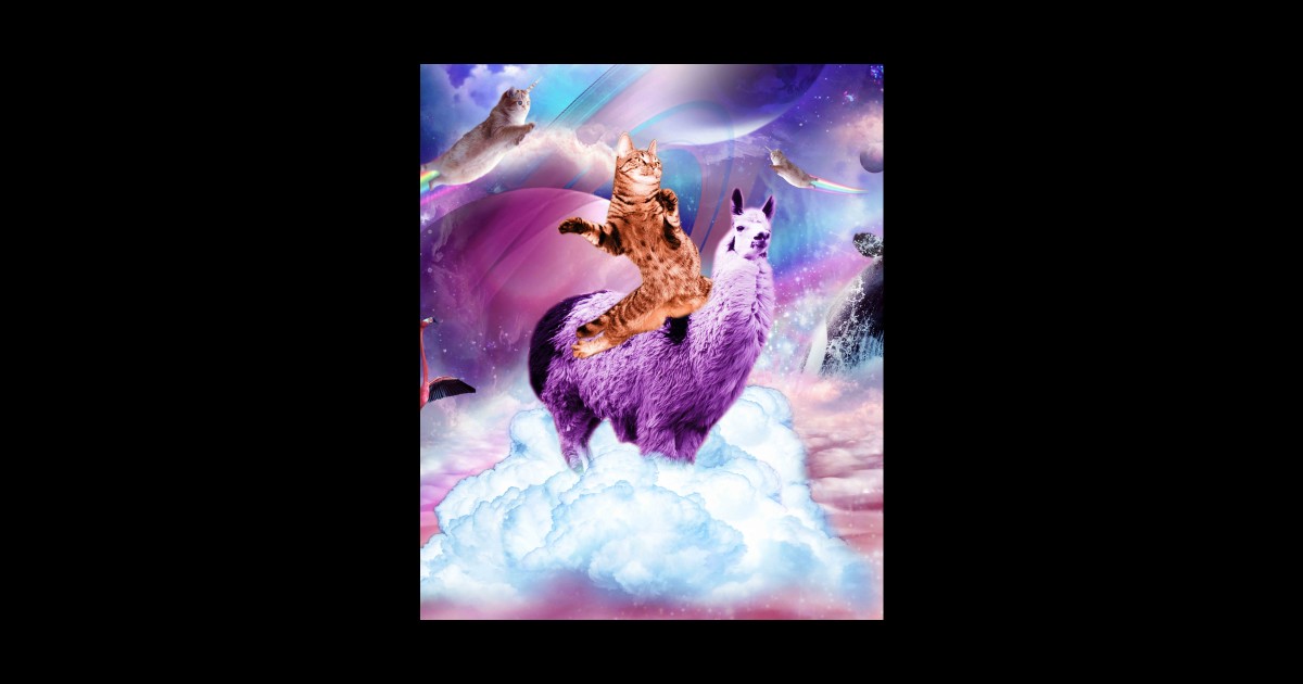 Kitty Cat Riding On Rainbow Llama In Space - Llama - Pillow | TeePublic