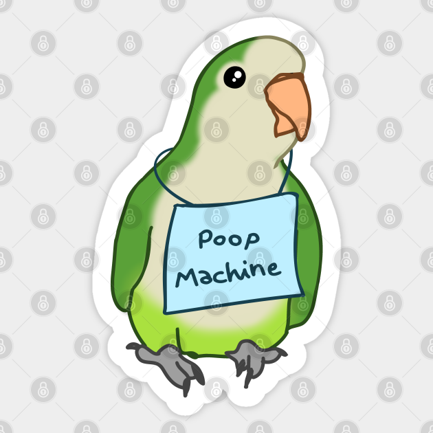 poop machine - greeen monk parakeet - Birb Memes - Sticker | TeePublic
