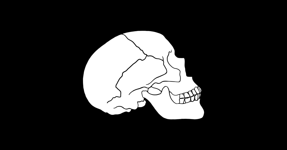 Skull Bone - Skull - Sticker | TeePublic