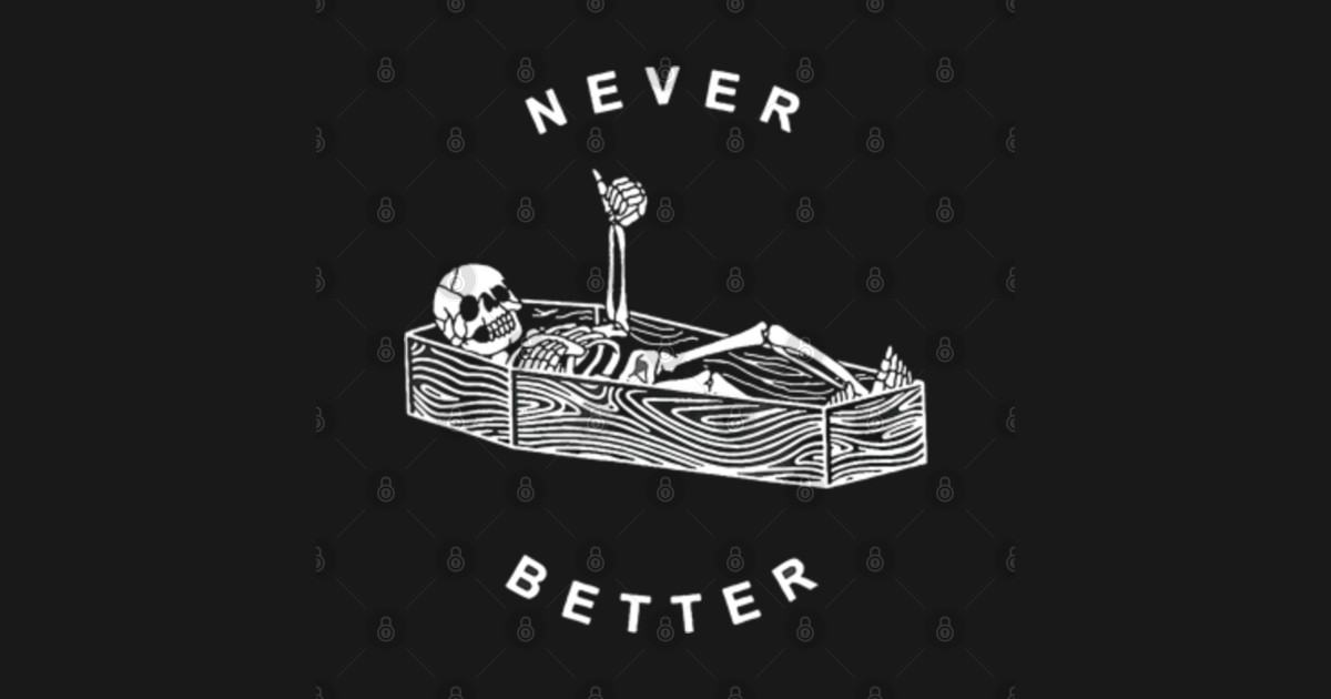 Never Better Skeleton Figure Lying in a Coffin - Never Better Skeleton ...