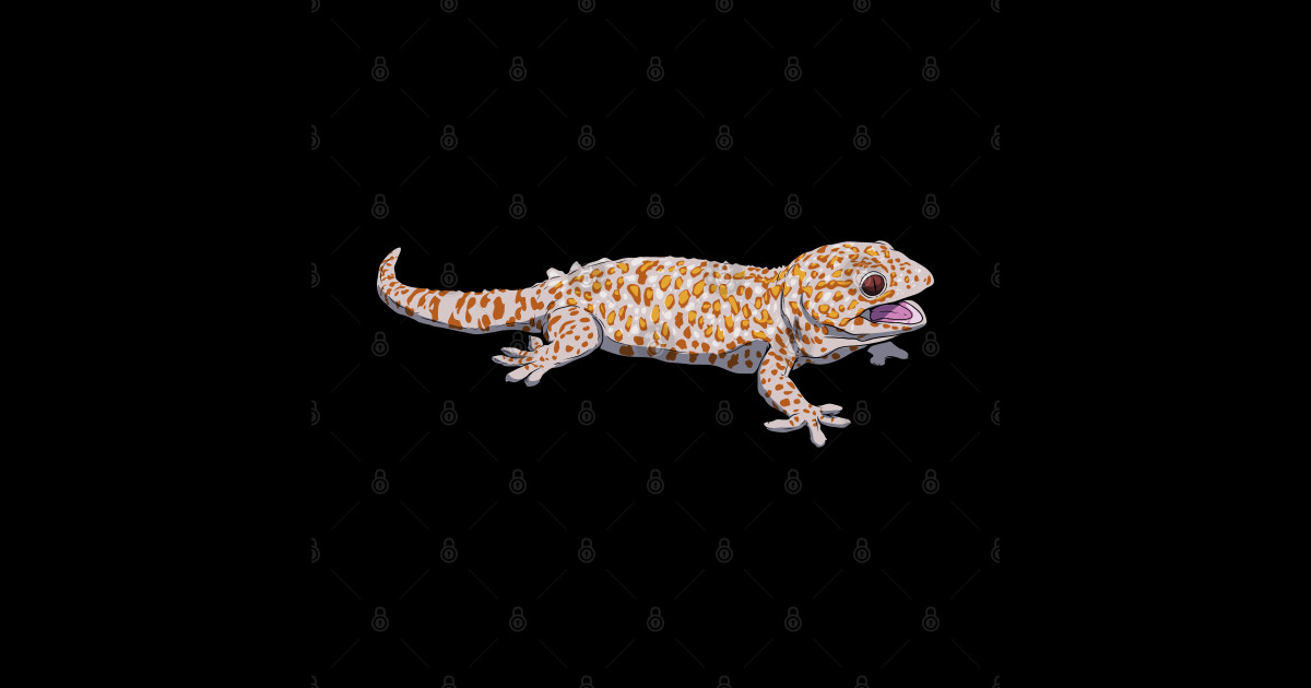 Drawing - Tokay gecko - Tokay Gecko - Sticker | TeePublic
