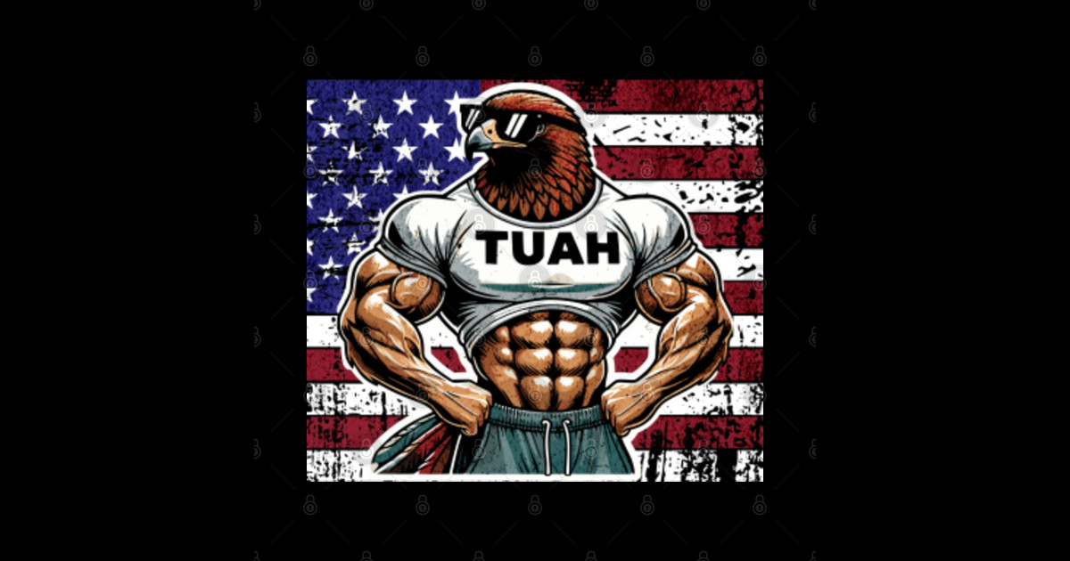 Hawk Tuah USA Flag - Hawk - Sticker | TeePublic
