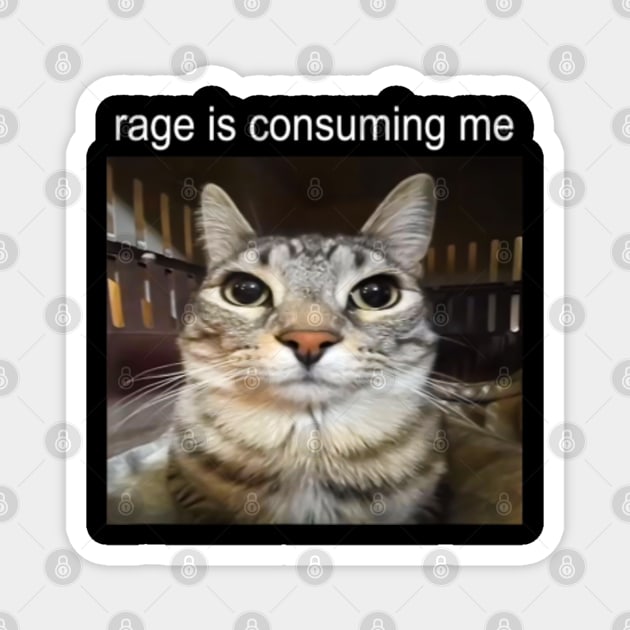 Intense Rage Consuming Me Shirt Staring Cat Meme Funny Annoyed Cat ...
