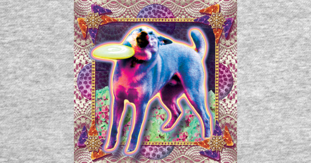 meme doggo with frisbee - Meme - T-Shirt | TeePublic