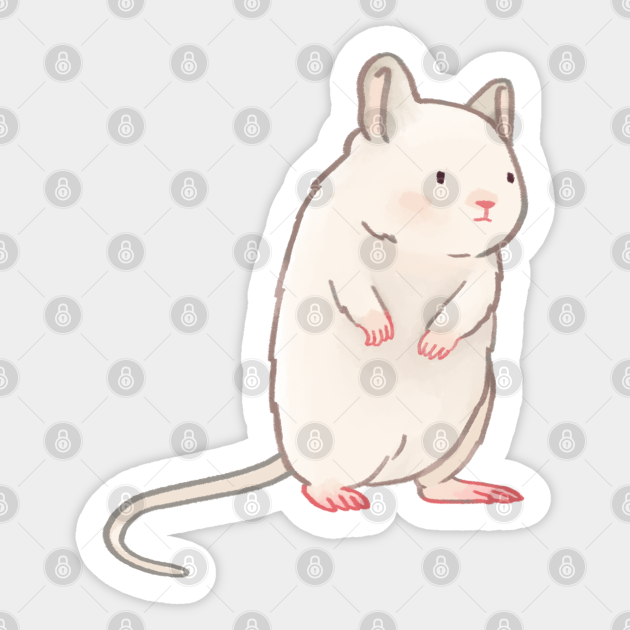 Cute white gerbil - Gerbil - Sticker | TeePublic