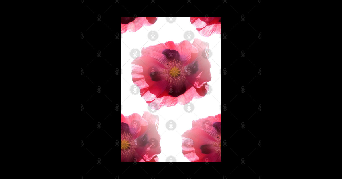frilly poppy head purple and pink two - Frilly Poppy Head - Sticker ...