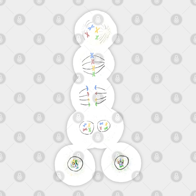 Mitosis Cell Division Biology Science Purple - Mitosis Cell Division ...