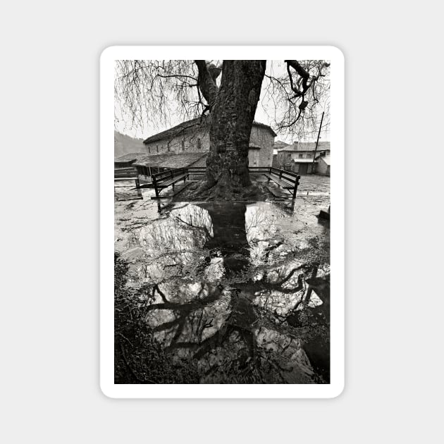 Back to my roots - Greece - Magnet | TeePublic