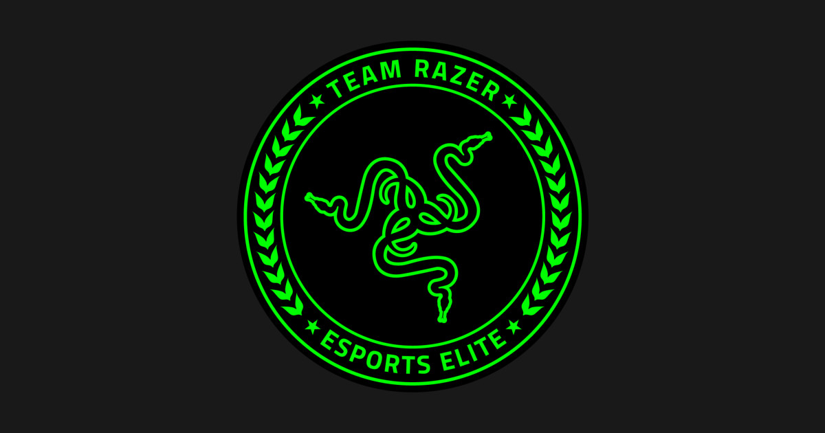 Team Razer Elite - Hoodie | TeePublic