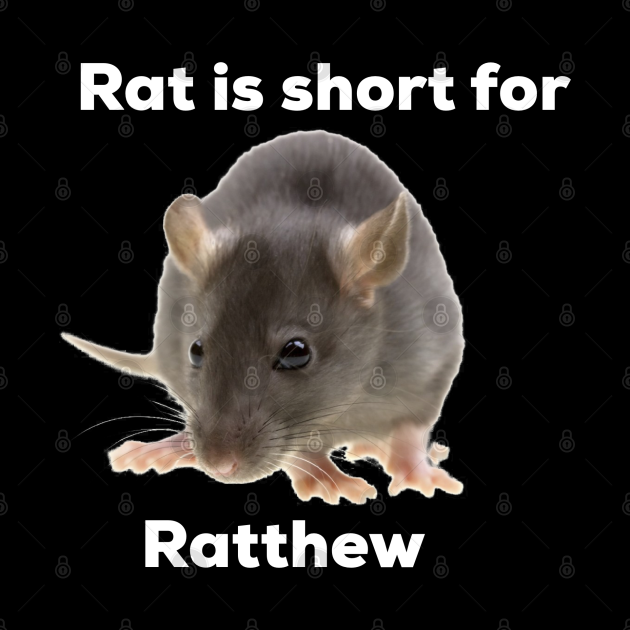 Rat Is Short For Ratthew - Funny Rat - Pillow | TeePublic
