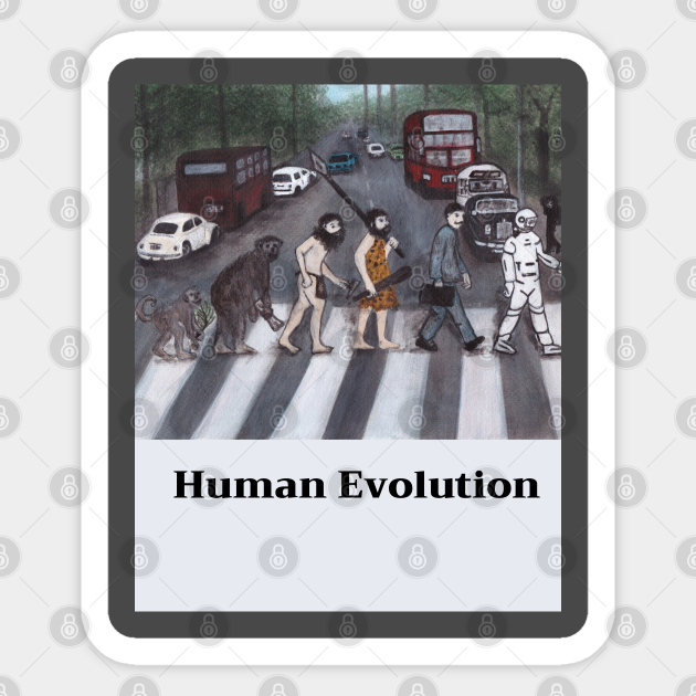 Human Evolution - Vintage Retro - Sticker | TeePublic