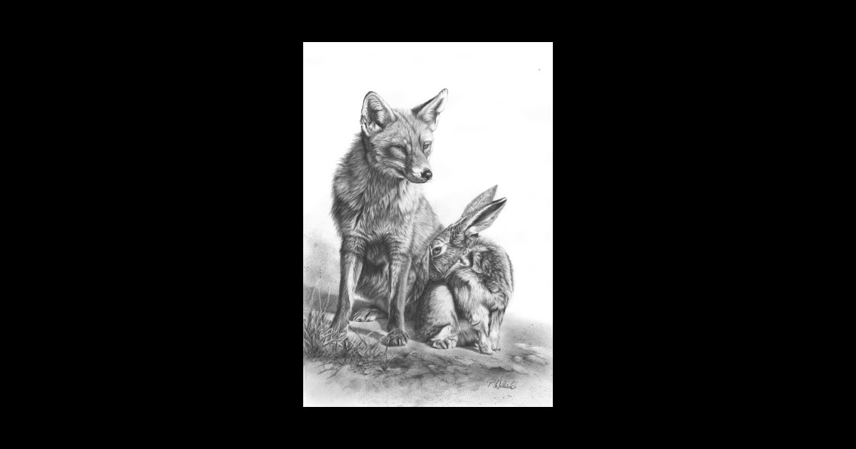 An Unlikely Alliance fox and hare pencil drawing - Fox - Sticker ...