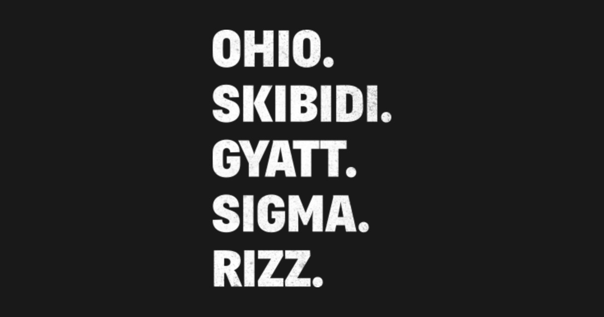 Skibidi Rizz Gyatt Ohio Sigma - Funny Rizzler Toilet Meme Lover - Meme ...