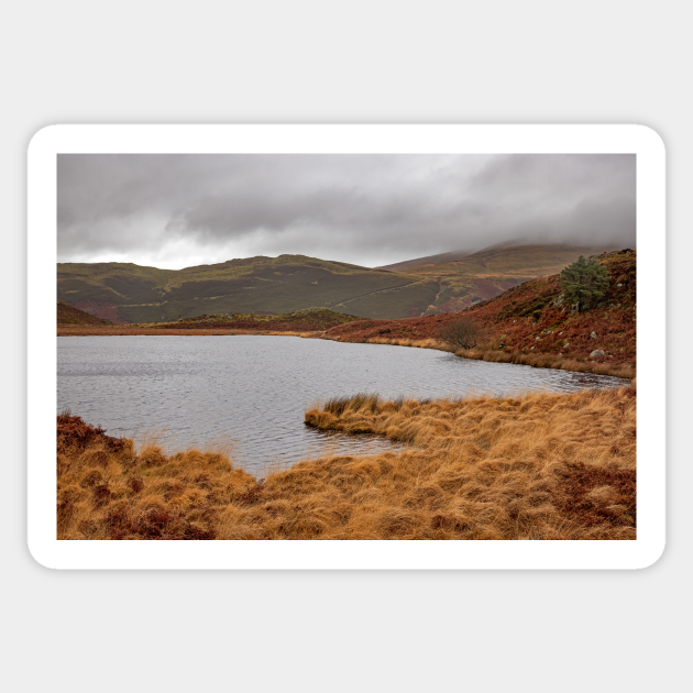 Llyn Barfog (The Bearded Lake), Snowdonia - Llyn Barfog - Sticker ...