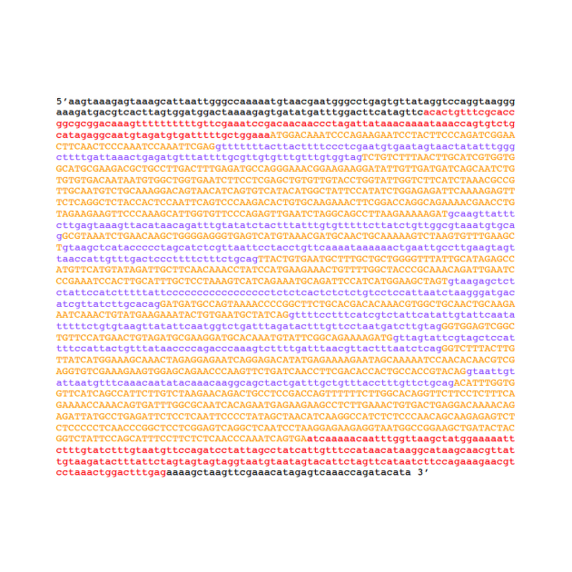 Genome ATGC DNA base pairs genes - Genome Atgc Dna Base Pairs Genes - T ...