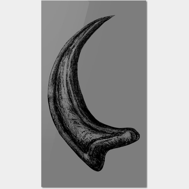 Jurassic Park Raptor Claw Movie - Jurassic Park - Posters and Art ...