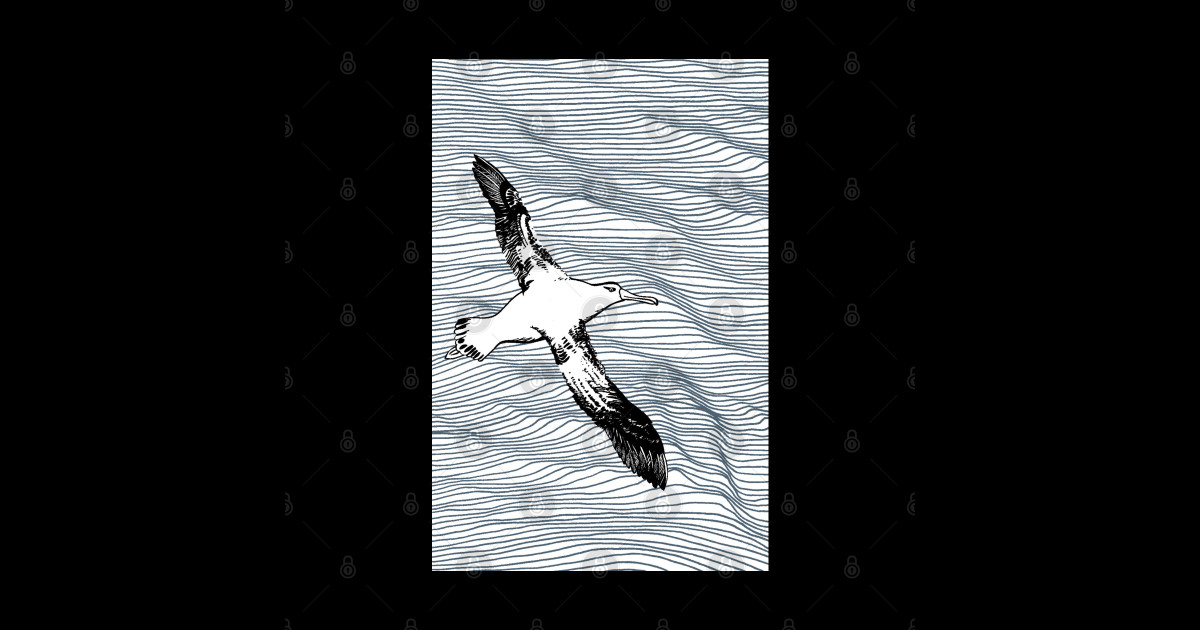 Wandering Albatross - Wandering Albatross - Sticker | TeePublic