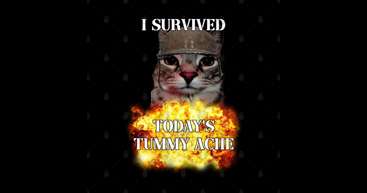i survived today's tummy ache cat meme - Tummy Ache - Sticker | TeePublic