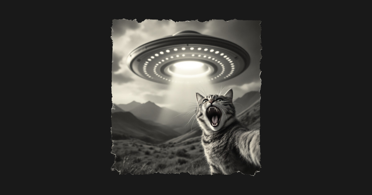 Cat-UFO-Meme-Funny-Cat-Selfie-with-UFO - Cat Selfie With Alien Ufo ...