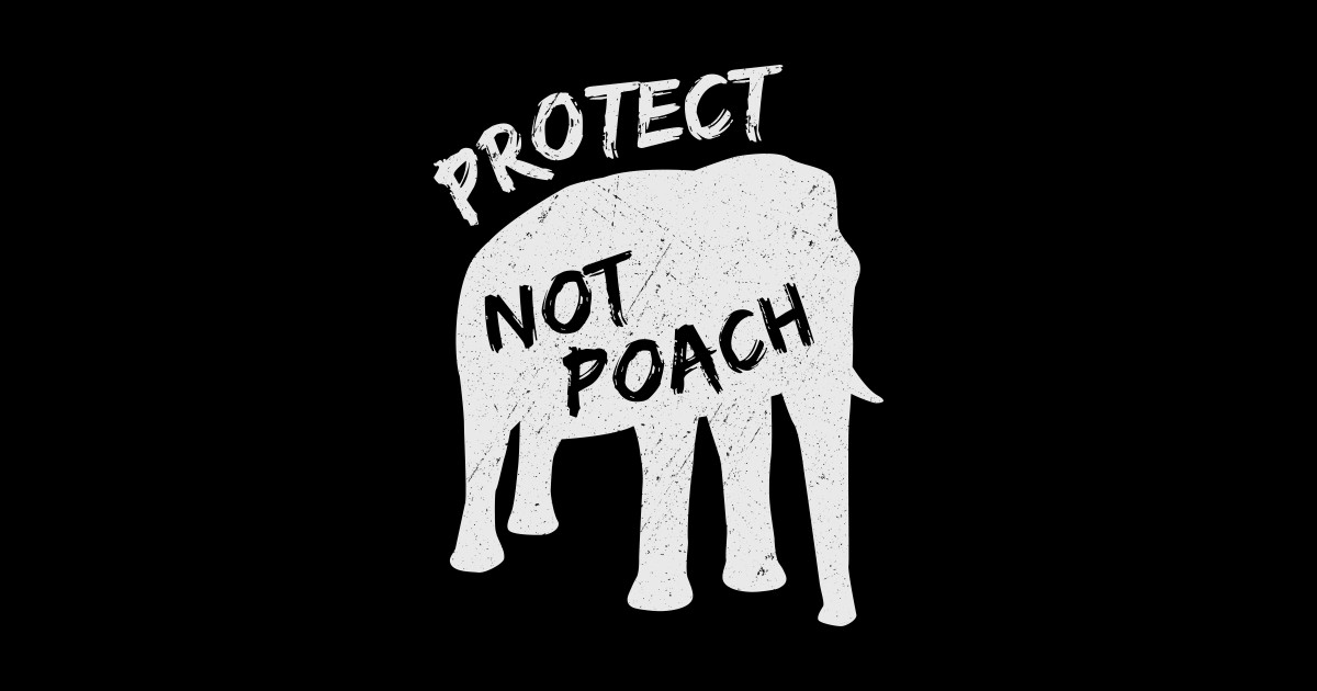 Protect Not Poach Ivory Trade Awareness - Anti Poaching - Sticker ...