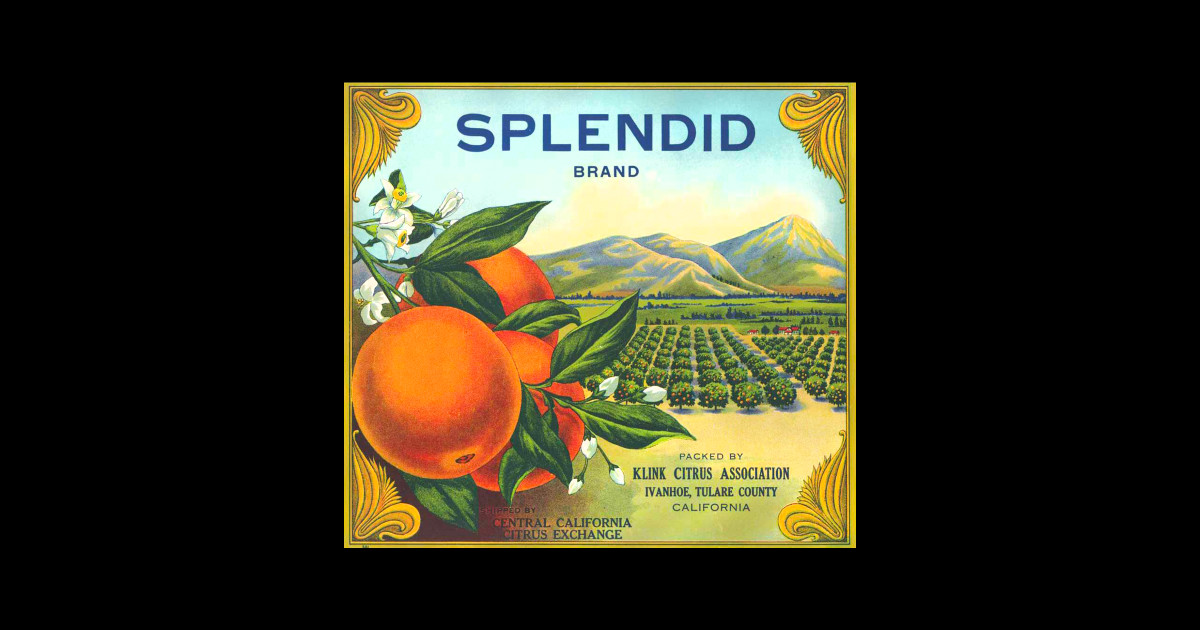 Splendid Brand Oranges Crate Label - Vintage Crate Label - Magnet ...
