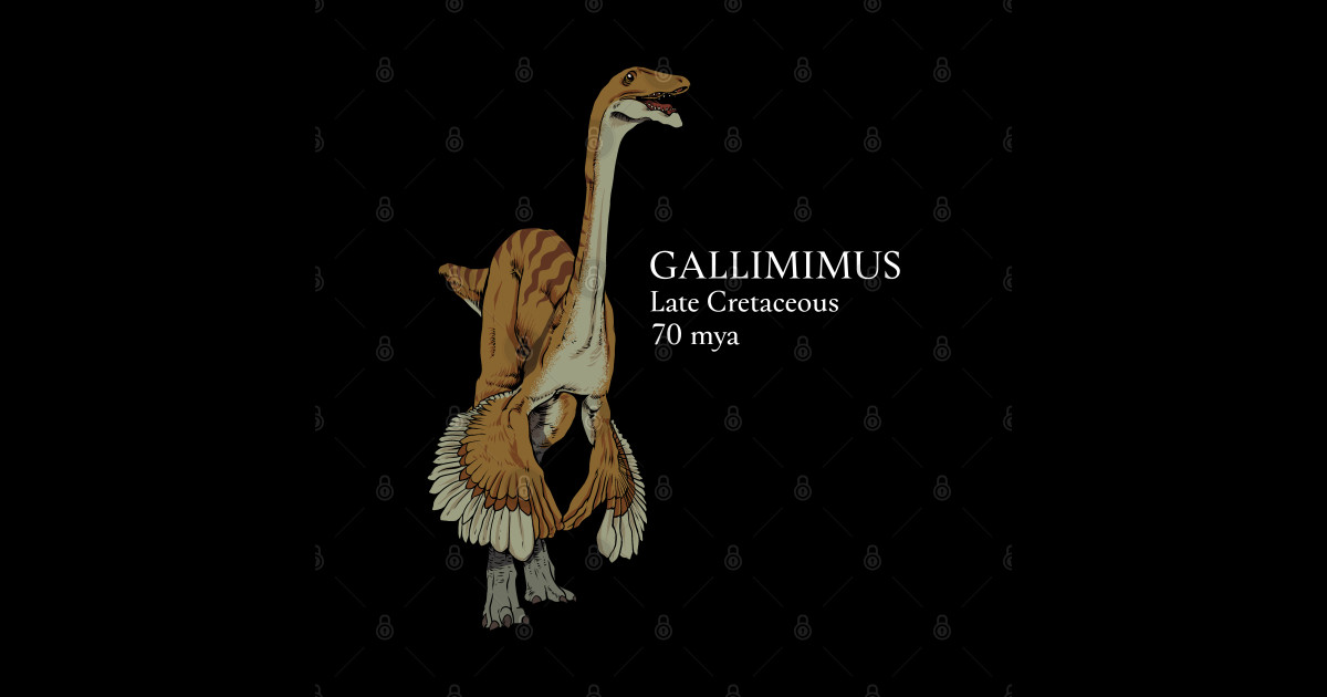 Realistic drawing of Gallimimus - Gallimimus - Posters and Art Prints ...