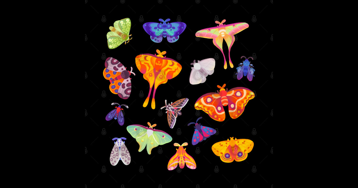 Moth - Moth - Sticker | TeePublic