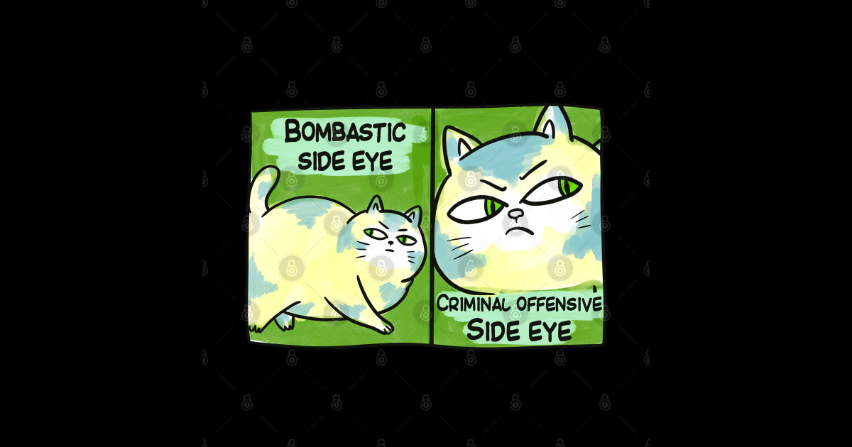 BOMBASTIC SIDE EYE FUNNY TIKTOK CAT MEME - Bombastic Side Eye - Posters ...