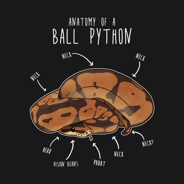 Anatomy of a Ball Python - Snake - Long Sleeve T-Shirt | TeePublic