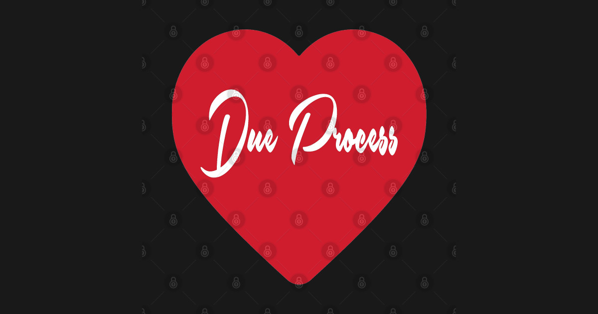 ️ Due Process - Front - Due Process - T-Shirt | TeePublic