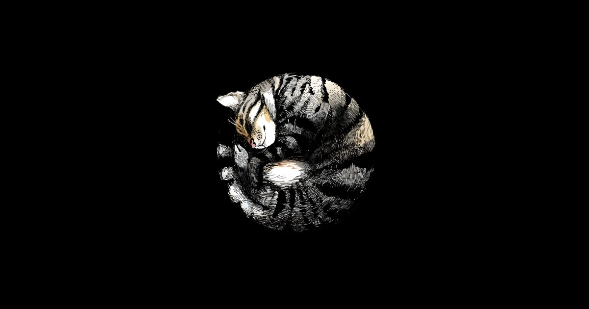 my favorite shape is round - Favorite - Sticker | TeePublic