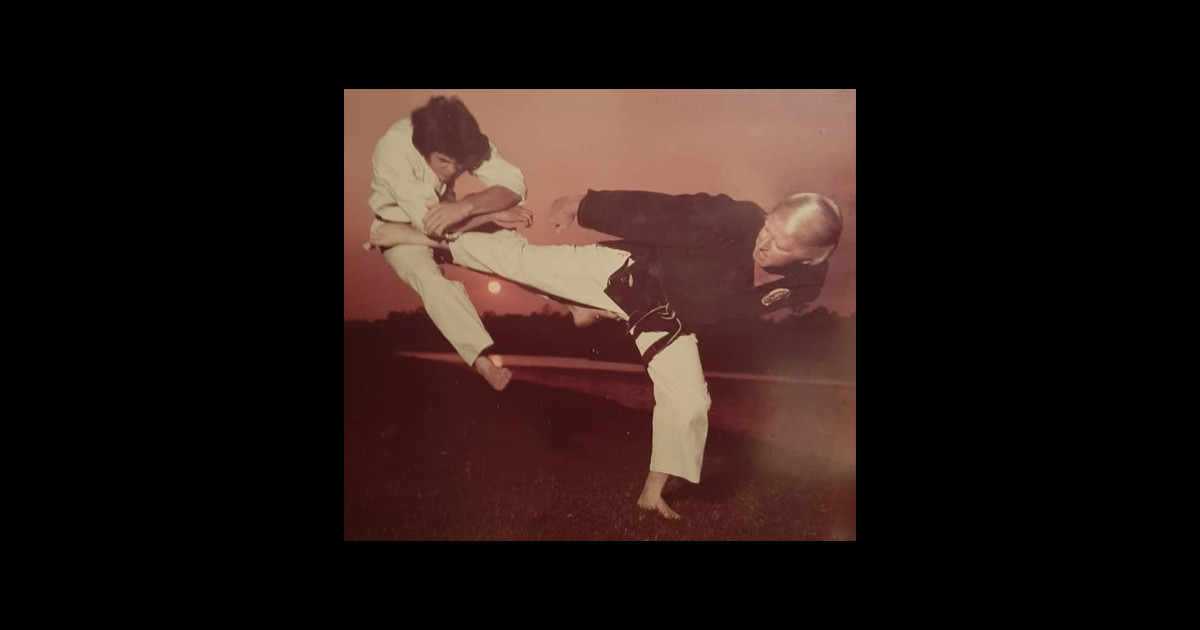 Donald Trump Kung Fu - Trump - Sticker | TeePublic