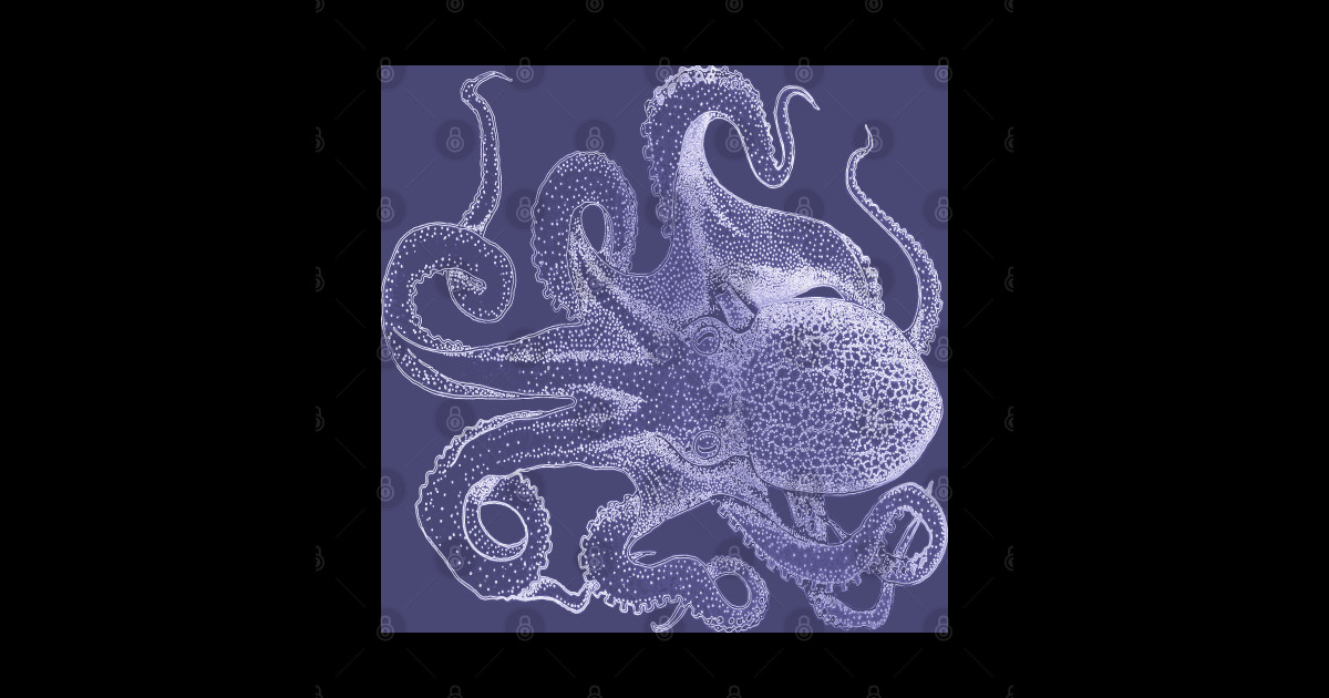 Blueprint Octopus - Octopus - Sticker | TeePublic