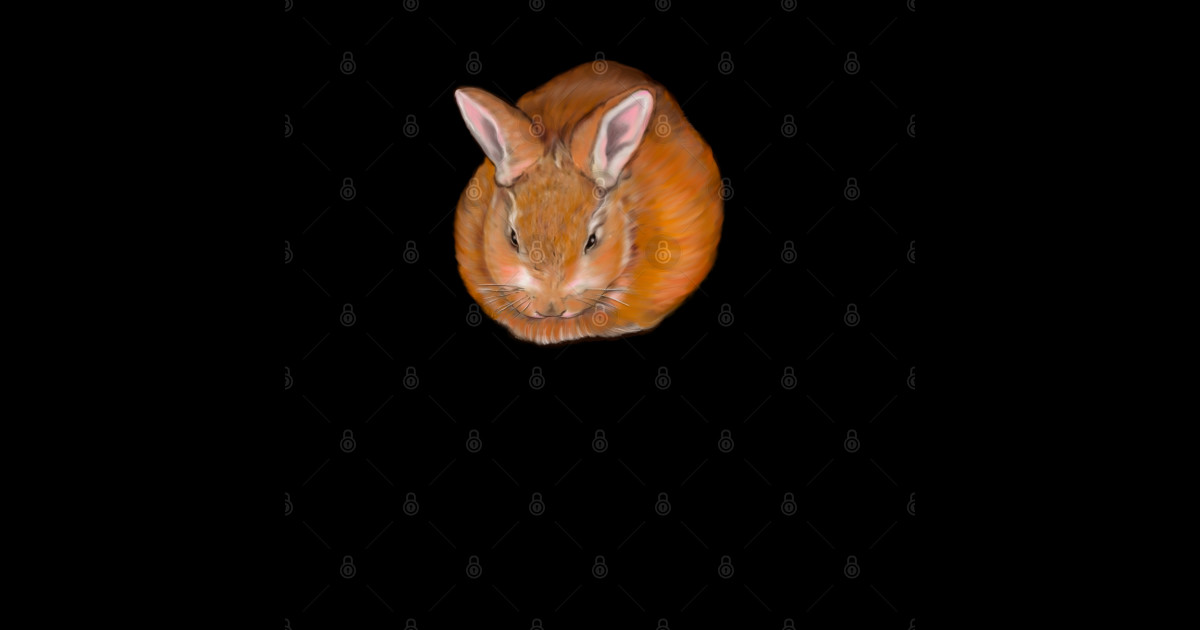 bunny rabbit cute baby ginger bunny rabbit - Rabbit - Sticker | TeePublic